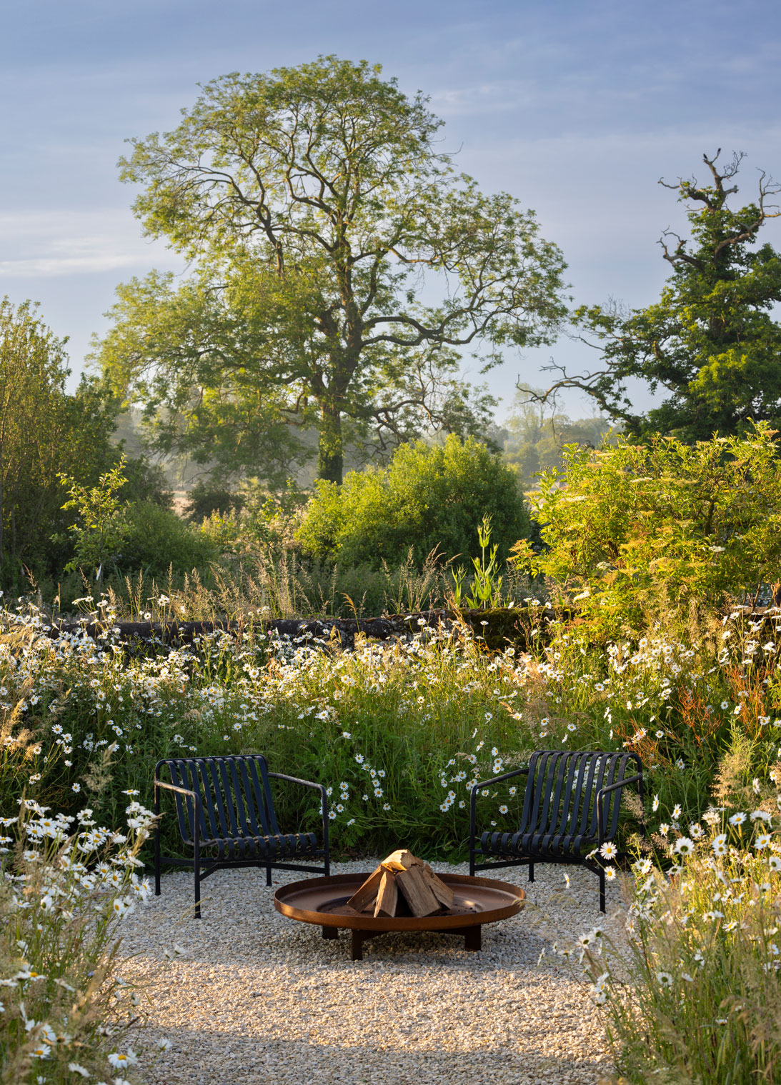 Modern garden designer Cambridge and Suffolk | Colm Joseph